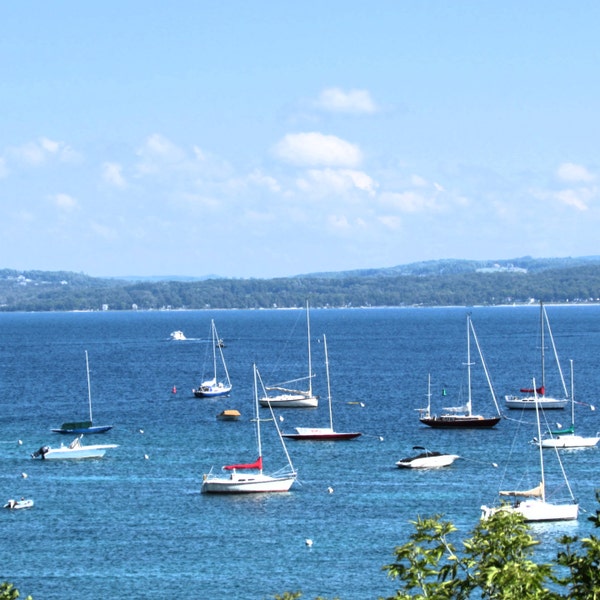 Freckles in Cloud White Metallic/cotton Steel Basics/cotton Steel/rjr ...