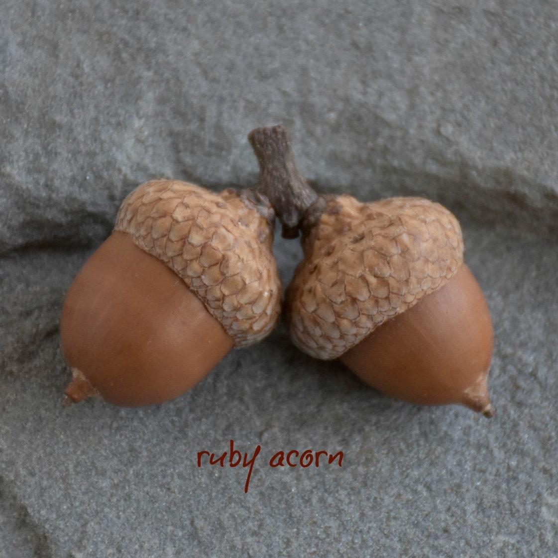 ruby acorn by marthasrubyacorn on Etsy