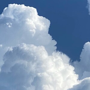 Vtg Talbots Straw Hat, Vintage 90s Boater Hat, Classic Rolled Brim ...