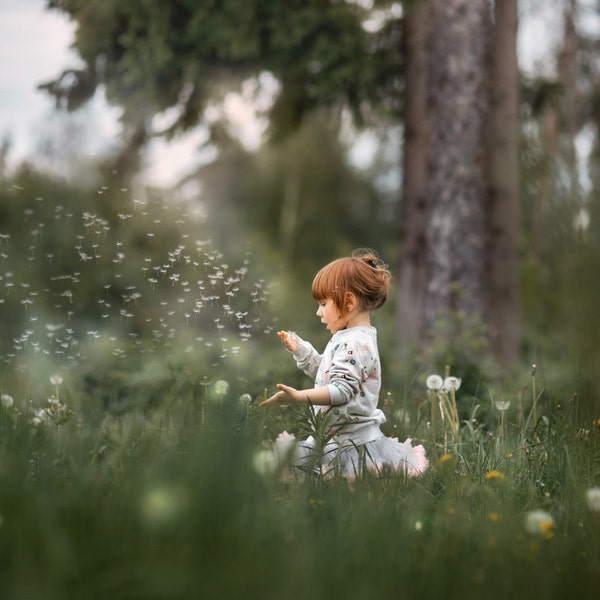 Nature-based First Grade Homeschool Curriculum: Secular, Whole-child ...