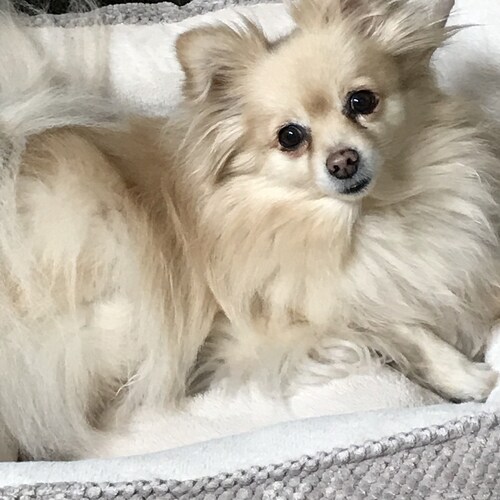 CinbearTreasures - Etsy UK