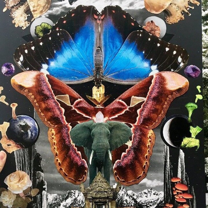 EtherealRootsEtsy - Ethereal Roots Instagram: @ethereal__roots - Etsy