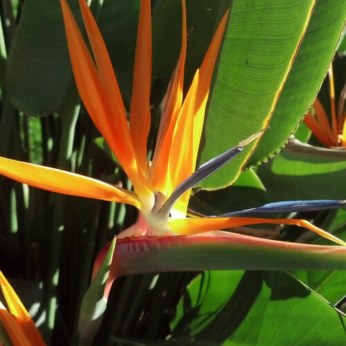 LuckyMagrogans - Etsy