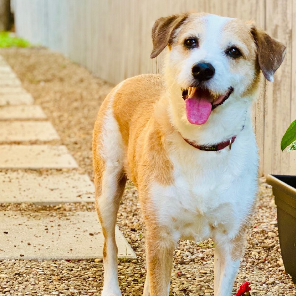 MementoMarley - Etsy