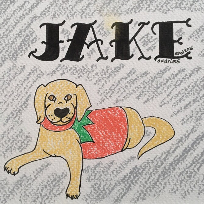 AnaGogy - Etsy España