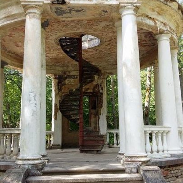 Empty Pistachio Shells, Nut Shells for Craft Projects, Organic ...