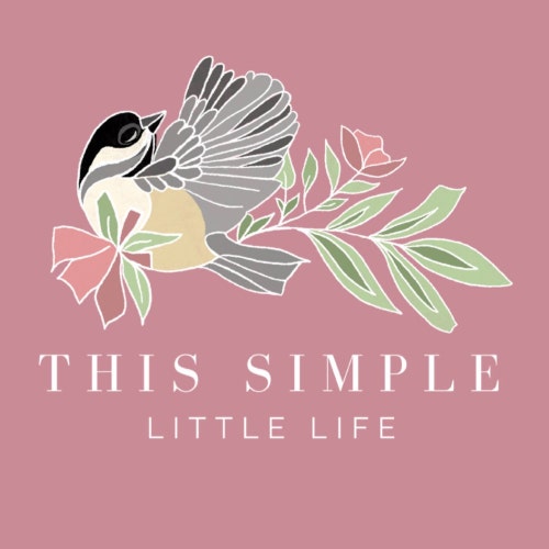 ThisSimpleLittleLife - Etsy