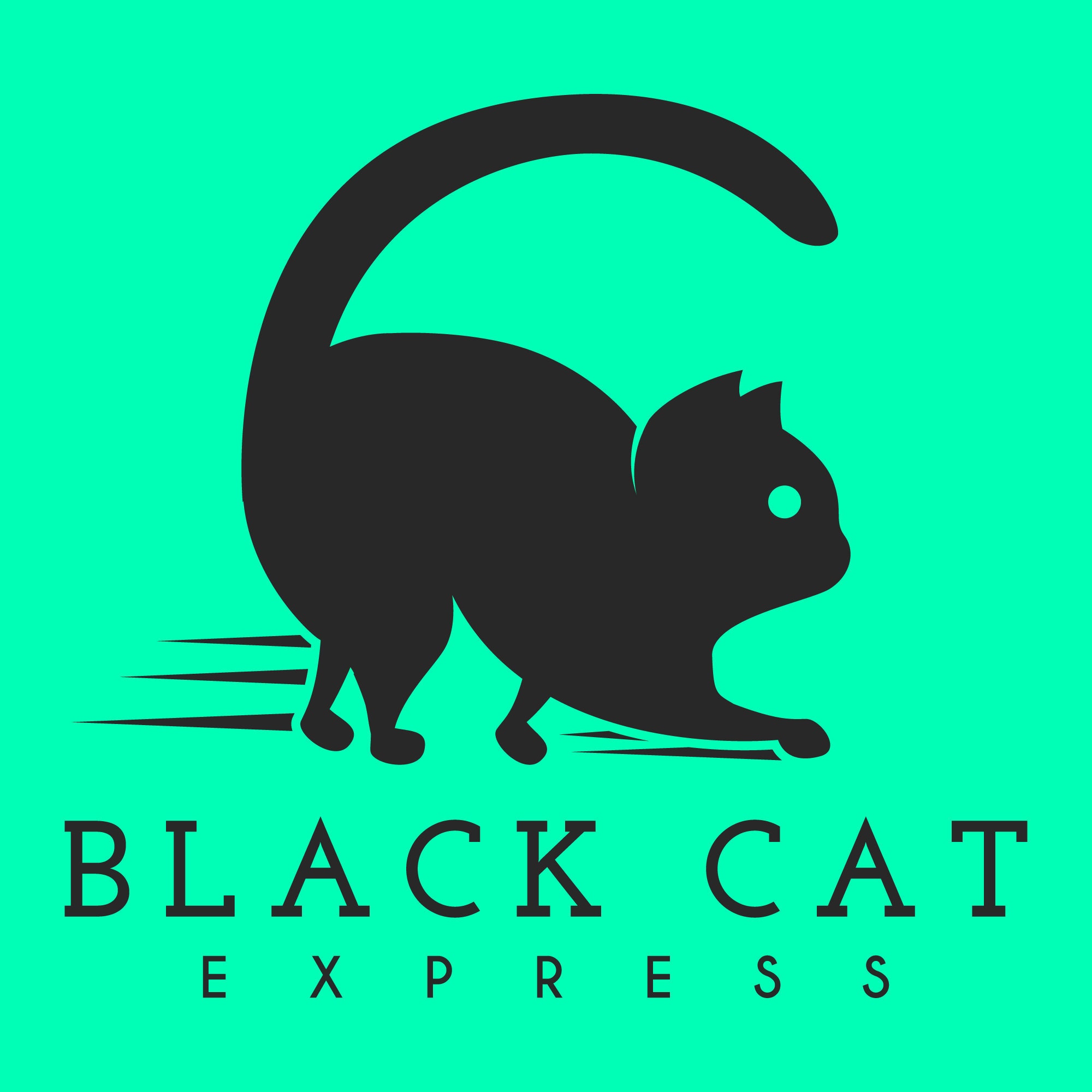 BlackCatExpressGifts - Etsy