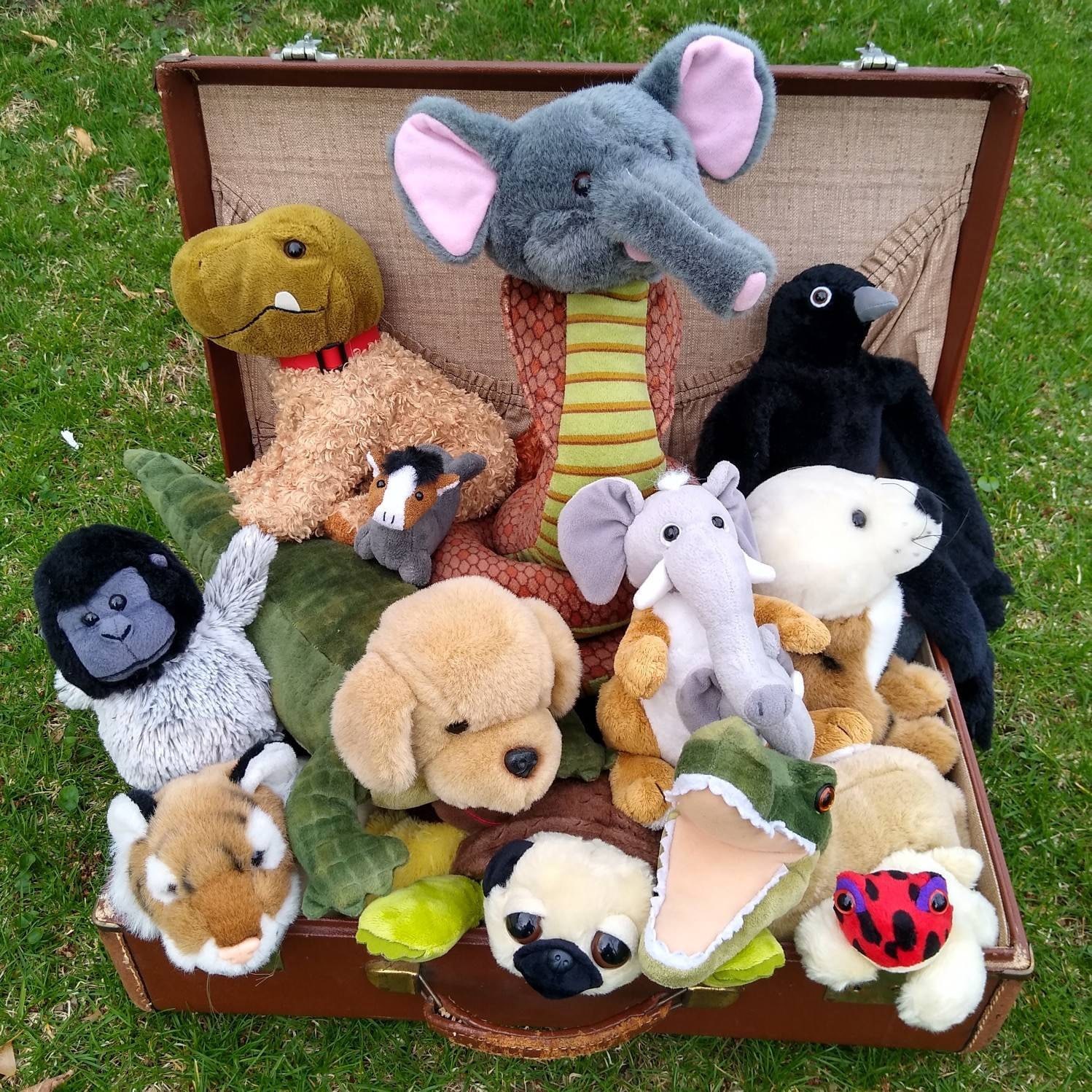 Stuffed Animals & Plushies Toys Creepycute Hybrid Cat Bird Freak Oddity ...