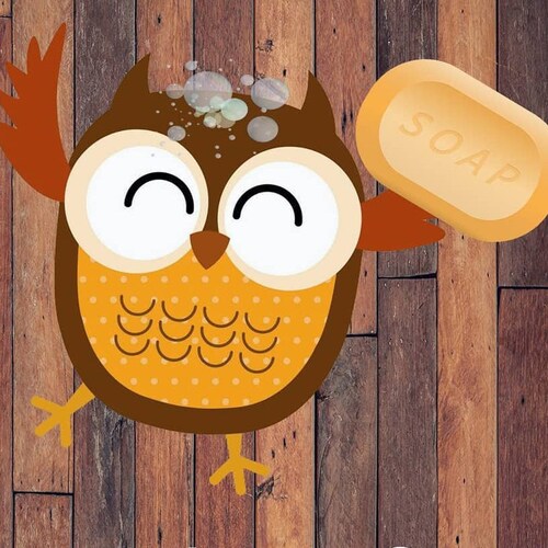 BubblyOwlSoapery - Etsy