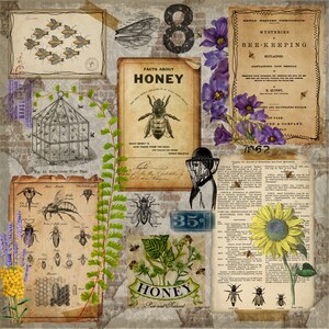 Vintage Botanical Field Notes Journal Kit - Etsy