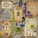 Vintage Botanical Field Notes Journal Kit - Etsy