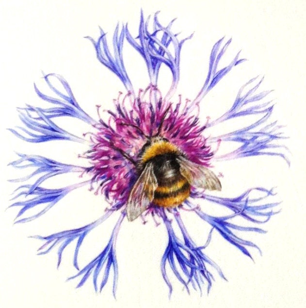 diannesutherlandart - Etsy UK