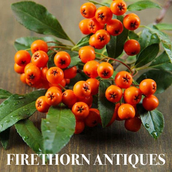 1930s Paden City Glass Pattern 221-2 precursor to Their Maya Pattern ...