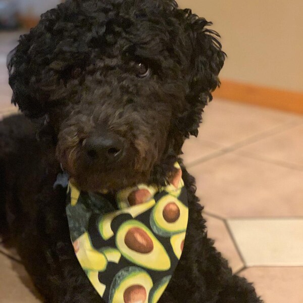 Spiderman Dog and Cat Bandana With Optional Personalization, Matching ...