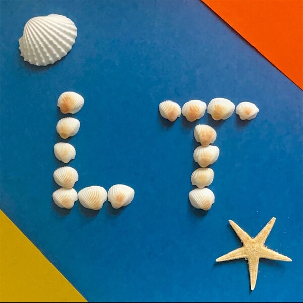 Seashell Best Friends, Shell People, Seashell Girls. - Etsy