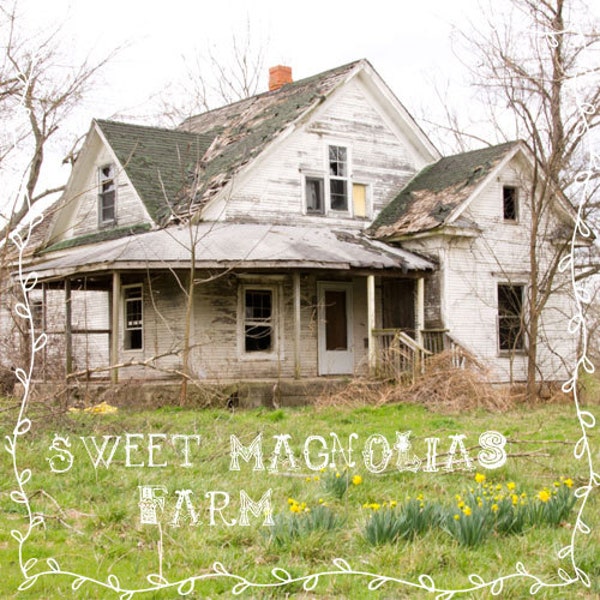 Antique 12 Bentwood Cheese Box superior Cheese Riser Display French ...