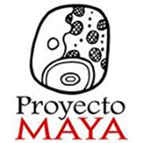 ProyectoMaya - Etsy.de