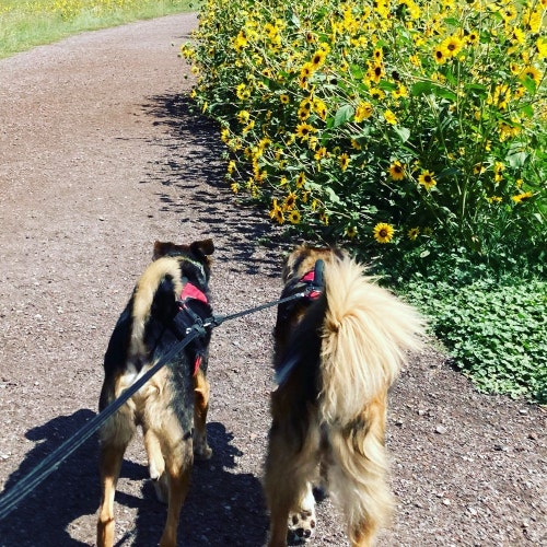 TwoDogAlleyDesign - Etsy