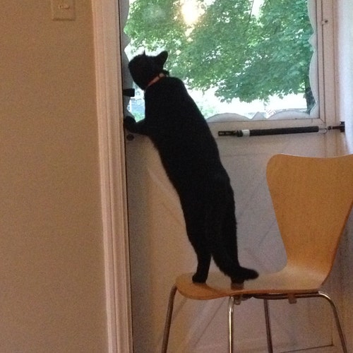 Mid-Century for This Century by MCMLX on Etsy