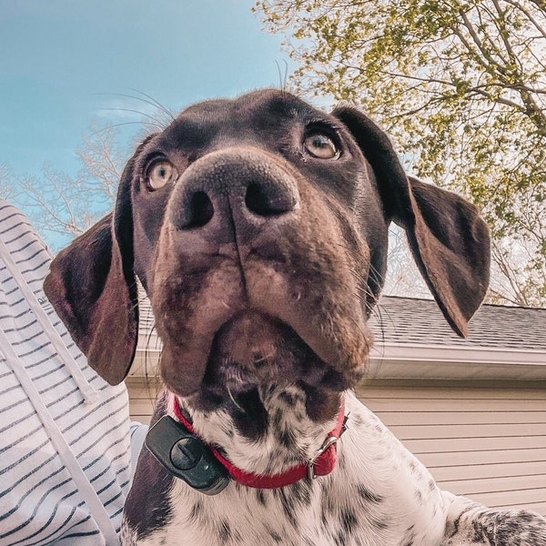 Funny Canvas Zipper Pouch Bag of Drugs, Coochie Corks, Oh Bloody Hell ...
