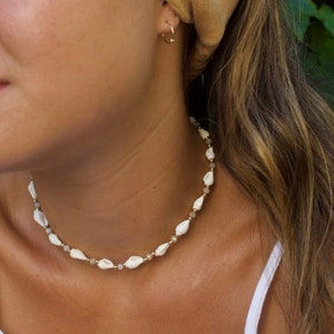 Handmade Sea Shell iPhone Case / Beige White Clear Black / Bespoke ...