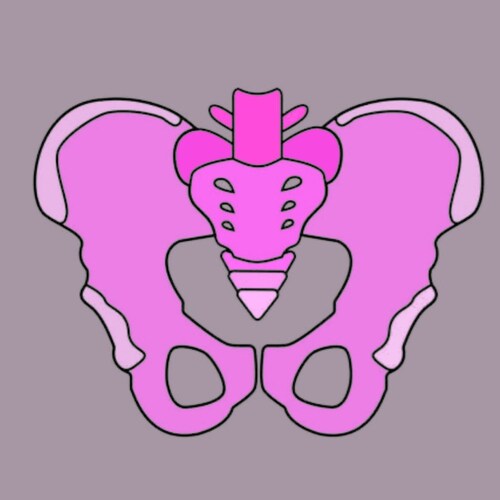 PinkPelvis - Etsy