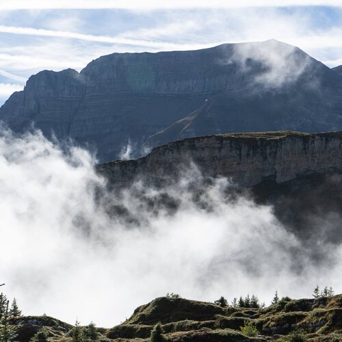 SabrinaNature - Etsy