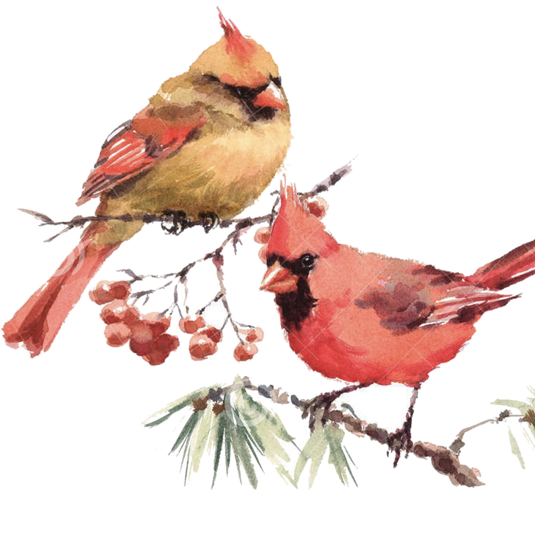 CardinalCouple - Etsy