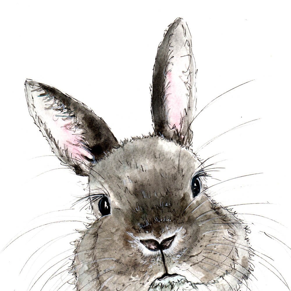 CathWard - Etsy