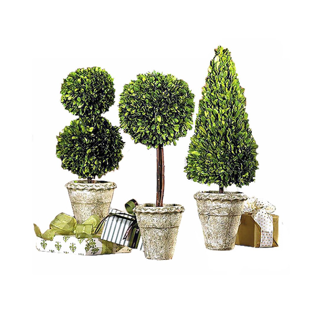 TopiaryHomeDecor - Etsy