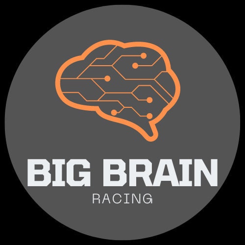 BigBrainRacing - Etsy