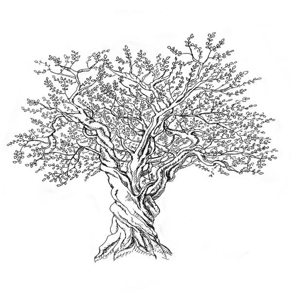 Collective Liberation Tree of Life Adam Kadmon Diagram - Etsy