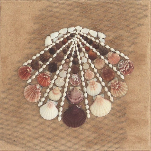 SeashellBeautyinArt - Etsy