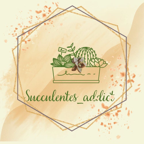 Succulentesaddict - Etsy