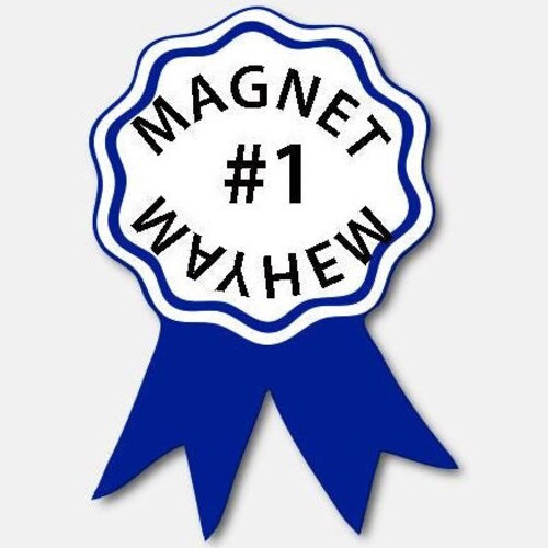 MagnetMayhemCustoms - Etsy