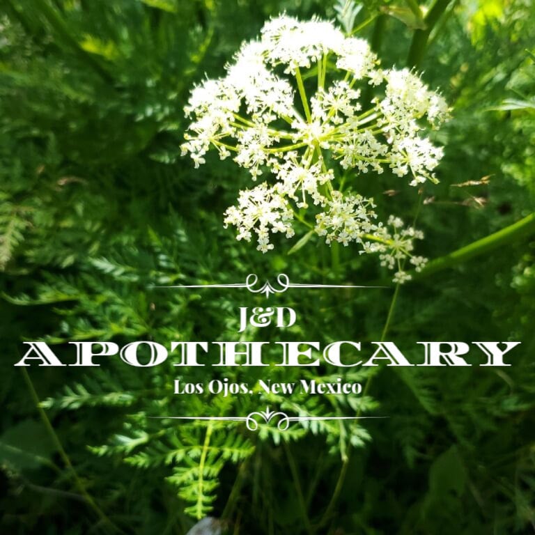 Herbal Remedies in Los Ojos NM by JDApothecary on Etsy