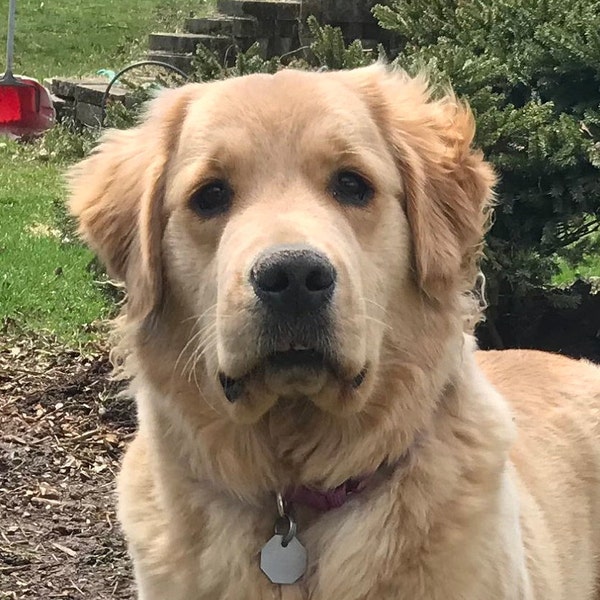 Customizable Character Standee - Etsy