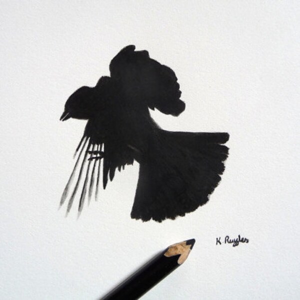 Jackdaw Original Charcoal Sketch, Original Art, Charcoal Drawing ...