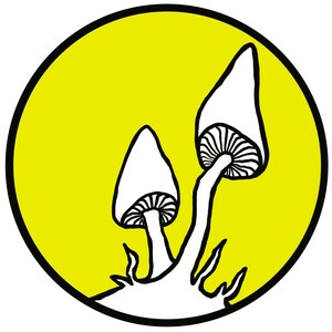 Human Eyes DIY Art Parts, Craft Supply Eye Pieces, Partial Eye ...