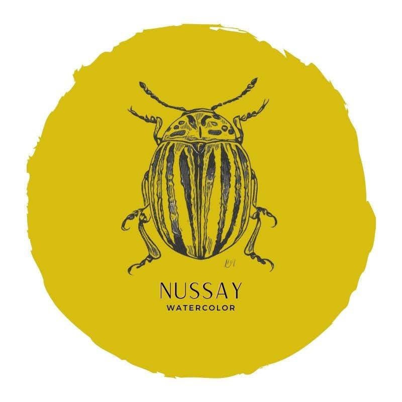 Paper note card bug notecard & insect cards Cicada postcard greeting ...