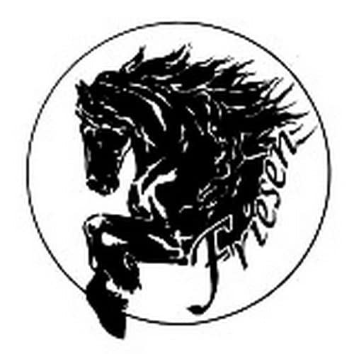 FriesenLeuchten auf Etsy