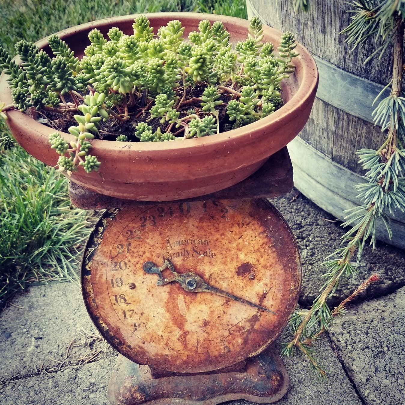 Kitchen & Dining Dining & Serving This is vintage Bowl is sure to make ...
