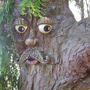 Willy the Tree Face. Funny Faces for Trees. Outdoor Sculpture, Statue ...