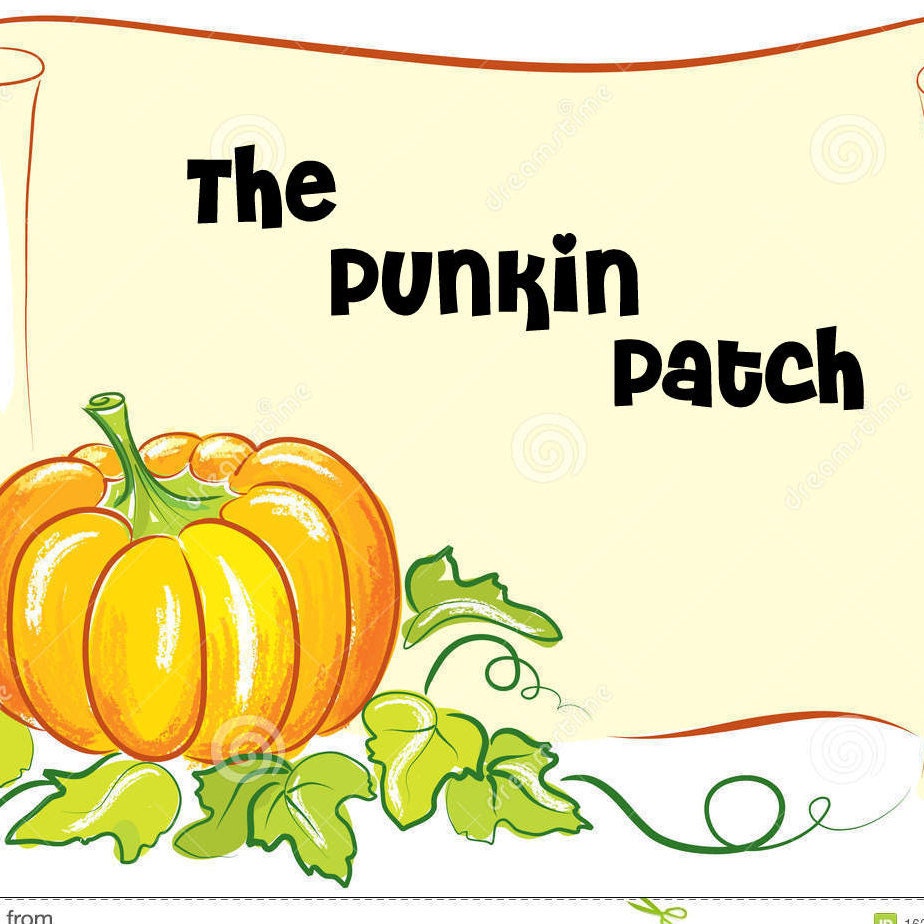 thepunkinpatch - Etsy