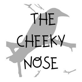 Soy Candles & Wax Melts in Book Film & Fun Scents by TheCheekyNose