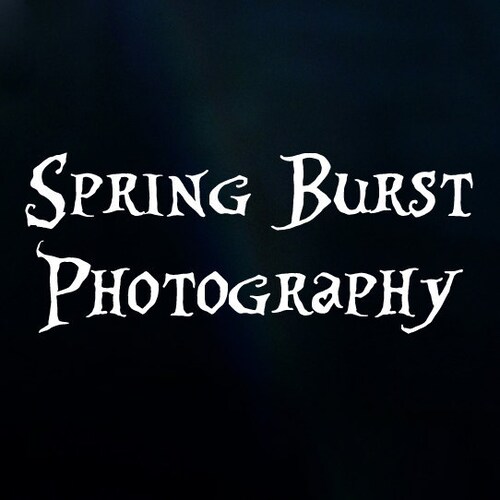 SpringBurst - Etsy