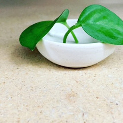 AnneHarrisonArt - Etsy