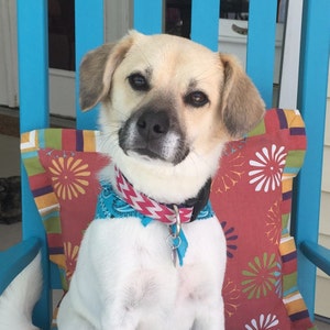 Direction Signs, Directional Signs, Wood Direction Arrows, Destination ...