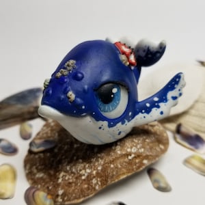 SeaDragonStore - Etsy